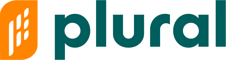 Plural Policy Brief Download